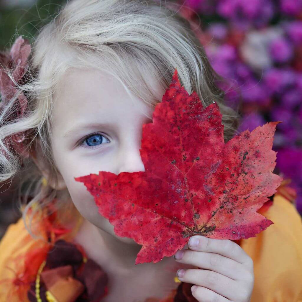 Turbo - Pixel Gallery