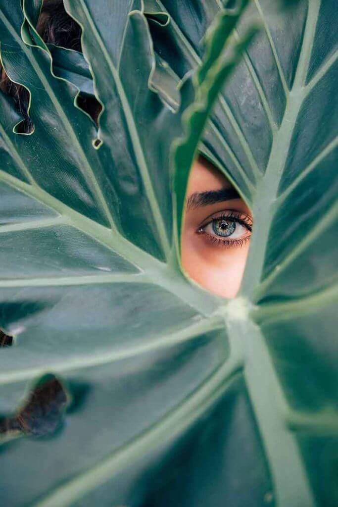 Verse - Pixel Gallery