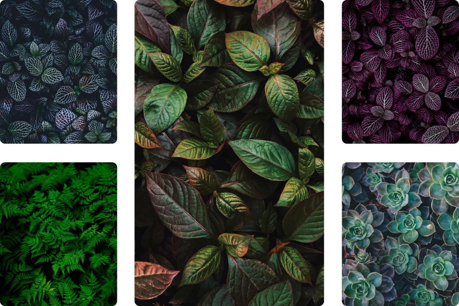 Pixel Gallery Addons for Elementor Page Builder WordPress