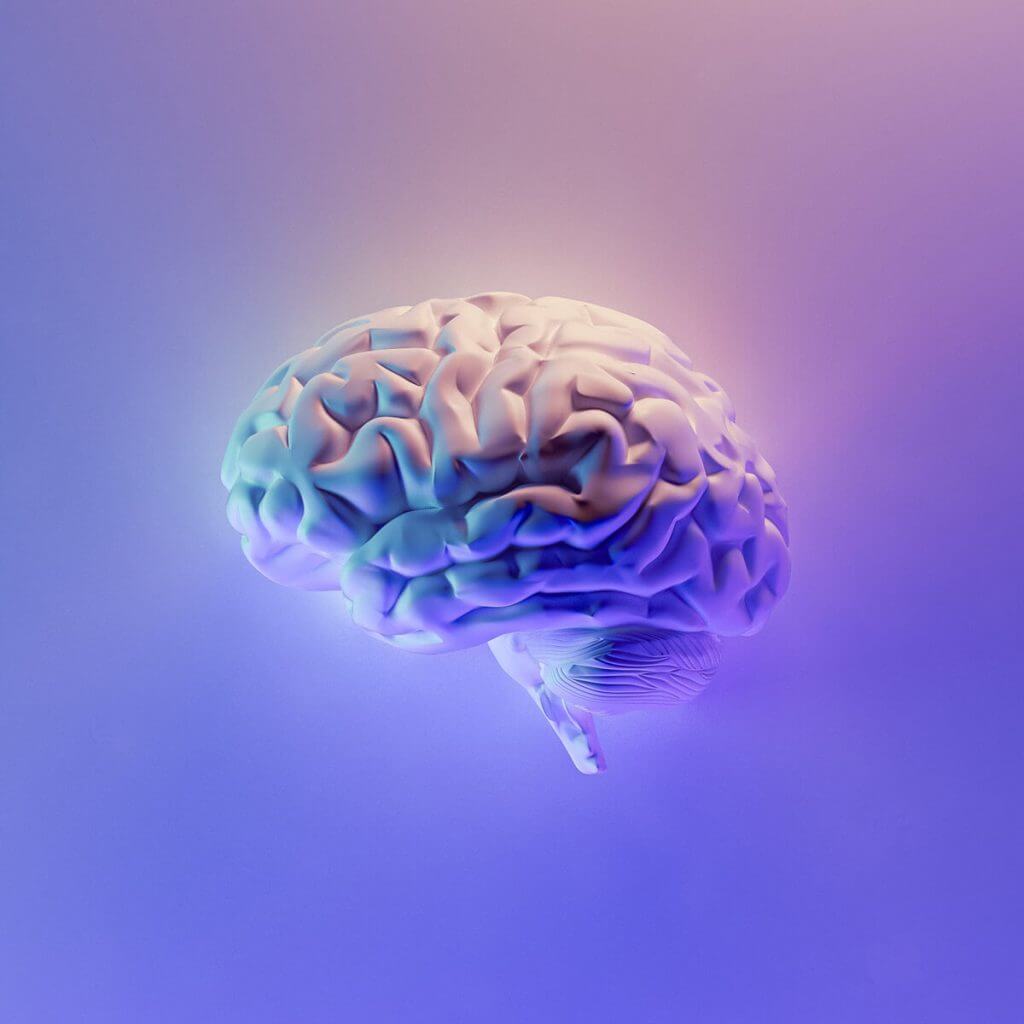 Fixer - Pixel Gallery